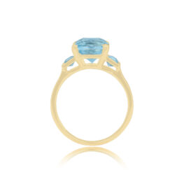 1.95ct Aquamarine and 18k Yellow Gold Zillah Ring - EDJ
